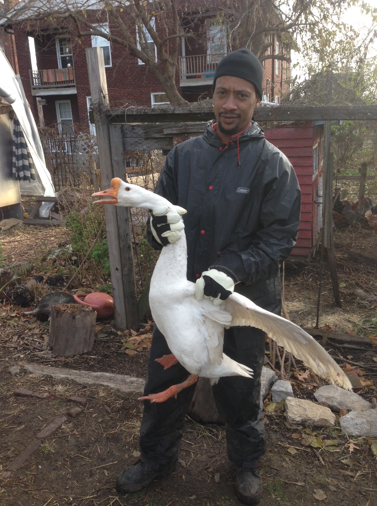 About Us – New Roots Urban Farm