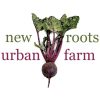 New Roots Urban Farm – working towards a sustainable local food system
